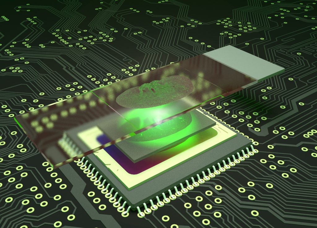 Homepage | Smart Imaging Lab