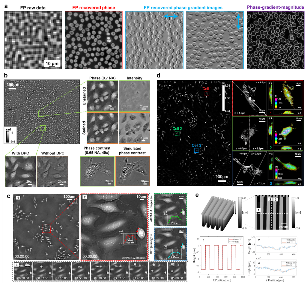Fourier Ptychography | Smart Imaging Lab